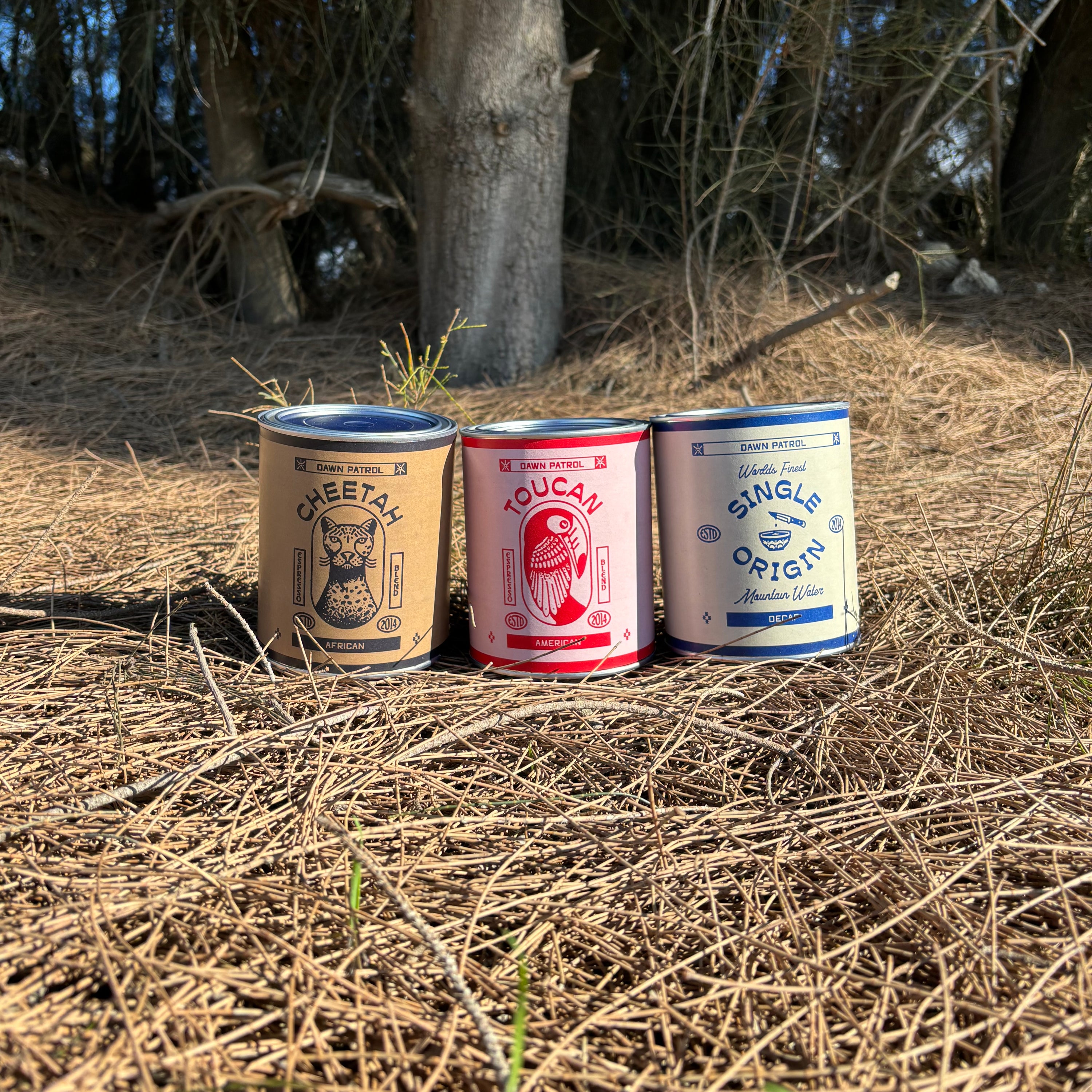 Dawn Patrol Coffee - Coffee Roastery